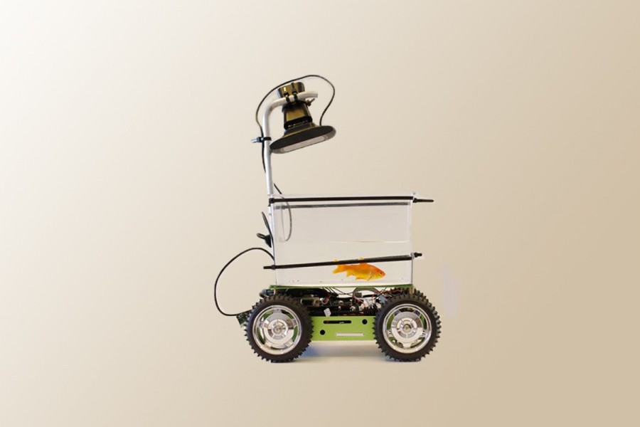 游來游去樂悠悠！隨著魚游向移動的行動魚缸 Fish on Wheels｜數位時代 BusinessNext